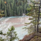 Wapta Falls, British Columbia, Canada - 4,555 Reviews, Map | AllTrails
