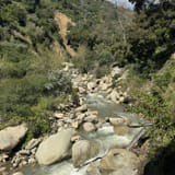 Cold Springs East Fork Trail, California - 345 Reviews, Map | AllTrails