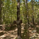Mount Watatic, Massachusetts - 1,656 Reviews, Map | AllTrails