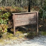 Batsto Lake Trail, New Jersey - 1,942 Reviews, Map | AllTrails