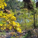 Silver Mine Trail, Missouri - 254 Reviews, Map | AllTrails