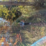 Jordan Valley Pathway, Michigan - 795 Reviews, Map | AllTrails