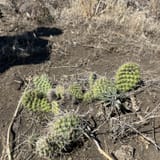 Menan Butte Trail, Idaho - 1,091 Reviews, Map | AllTrails