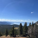Tamarack Peak Loop, Nevada - 1,138 Reviews, Map | AllTrails