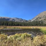 Spruce Creek Loop, Colorado - 1,975 Reviews, Map | AllTrails