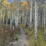 Booth Falls, Colorado - 5,891 Reviews, Map | AllTrails