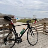 Gary Shell Cross City Trail, North Carolina - 239 Reviews, Map | AllTrails