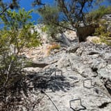 Nelson Rocks Via Ferrata, West Virginia - 147 Reviews, Map | AllTrails