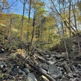 Chittenango Falls, New York - 992 Reviews, Map | AllTrails