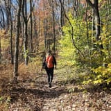 Sprague Brook Park Trail, New York - 1,461 Reviews, Map | AllTrails