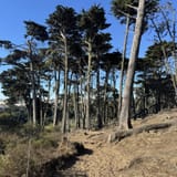 Presidio Loop Trail, California - 1,492 Reviews, Map | AllTrails