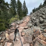 Royal Arch Trail, Colorado - 17,074 Reviews, Map | AllTrails