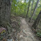 Indian Seats Loop, Georgia - 6,753 Reviews, Map | AllTrails