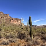 Wave Cave Trail, Arizona - 8,665 Reviews, Map | AllTrails