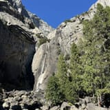 Sentinel Meadow Cook's Meadow Loop Trail, California - 4,030 Reviews ...