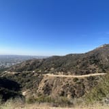 Runyon Canyon Trail, California - 7,304 Reviews, Map | AllTrails