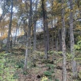 Lost Canyon Trail, Wisconsin - 1,128 Reviews, Map | AllTrails