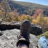 Wolf Rocks Trail, Pennsylvania - 1,569 Reviews, Map | AllTrails
