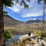 Cub Lake Loop, Colorado - 2,381 Reviews, Map | AllTrails