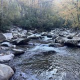 Ramsey Cascades Trail, Tennessee - 2,640 Reviews, Map | AllTrails