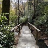 Myrtle Point and Mount LeConte via Alum Cave Trail, Tennessee - 3,787 ...