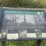 Window Cliffs Trail, Tennessee - 1,597 Reviews, Map | AllTrails