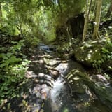 Makiki Valley Loop, Oahu, Hawaii - 6,030 Reviews, Map | AllTrails