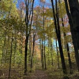 Salt Run, Ohio - 1,515 Reviews, Map | AllTrails