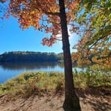 Lake Wedington Hiking Trail, Arkansas - 664 Reviews, Map | AllTrails