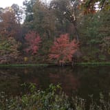 Lake Wedington Hiking Trail, Arkansas - 664 Reviews, Map | AllTrails