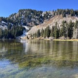Lake Solitude Trail, Utah - 1,743 Reviews, Map | AllTrails