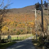 Mount Greylock via Bellows Pipe Trail, Massachusetts - 2,530 Reviews ...