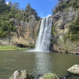 Cossey Massey Loop Track, Auckland, New Zealand - 889 Reviews, Map ...