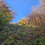 Mount Greylock via Bellows Pipe Trail, Massachusetts - 2,530 Reviews ...
