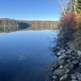 Grout Pond Trail, Vermont - 299 Reviews, Map | AllTrails