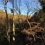 Sprague Brook Park Trail, New York - 1,461 Reviews, Map | AllTrails