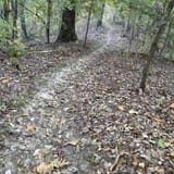 Knobstone Trail, Indiana - 221 Reviews, Map | AllTrails