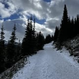 Bow Summit Viewpoint, Alberta, Canada - 1,229 Reviews, Map | AllTrails