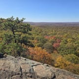 Reeves Brook Loop Trail, New York - 5,230 Reviews, Map | AllTrails