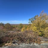 Reeves Brook Loop Trail, New York - 5,230 Reviews, Map | AllTrails