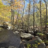 Reeves Brook Loop Trail, New York - 5,230 Reviews, Map | AllTrails