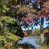 Assunpink Wildlife Management Area Trails, New Jersey - 205 Reviews ...