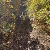 Kaysville East Mountain Wilderness Park Trail, Utah - 472 Reviews, Map ...