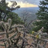 Picacho Peak Trail, New Mexico - 3,422 Reviews, Map | AllTrails