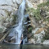 Spruce Grove Campground Trail, California - 517 Reviews, Map | AllTrails