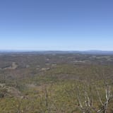 Buffalo Mountain Trail, Virginia - 766 Reviews, Map | AllTrails