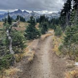 Skyline Loop, Washington - 20,806 Reviews, Map | AllTrails
