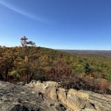 Reeves Brook Loop Trail, New York - 5,230 Reviews, Map | AllTrails