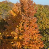 Parnell Tower Trail, Wisconsin - 956 Reviews, Map | AllTrails