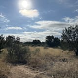 Gorman Falls Trail, Texas - 1,164 Reviews, Map | AllTrails